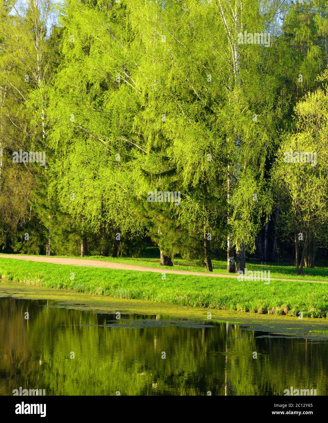 Park at spring Stock Photo - Alamy