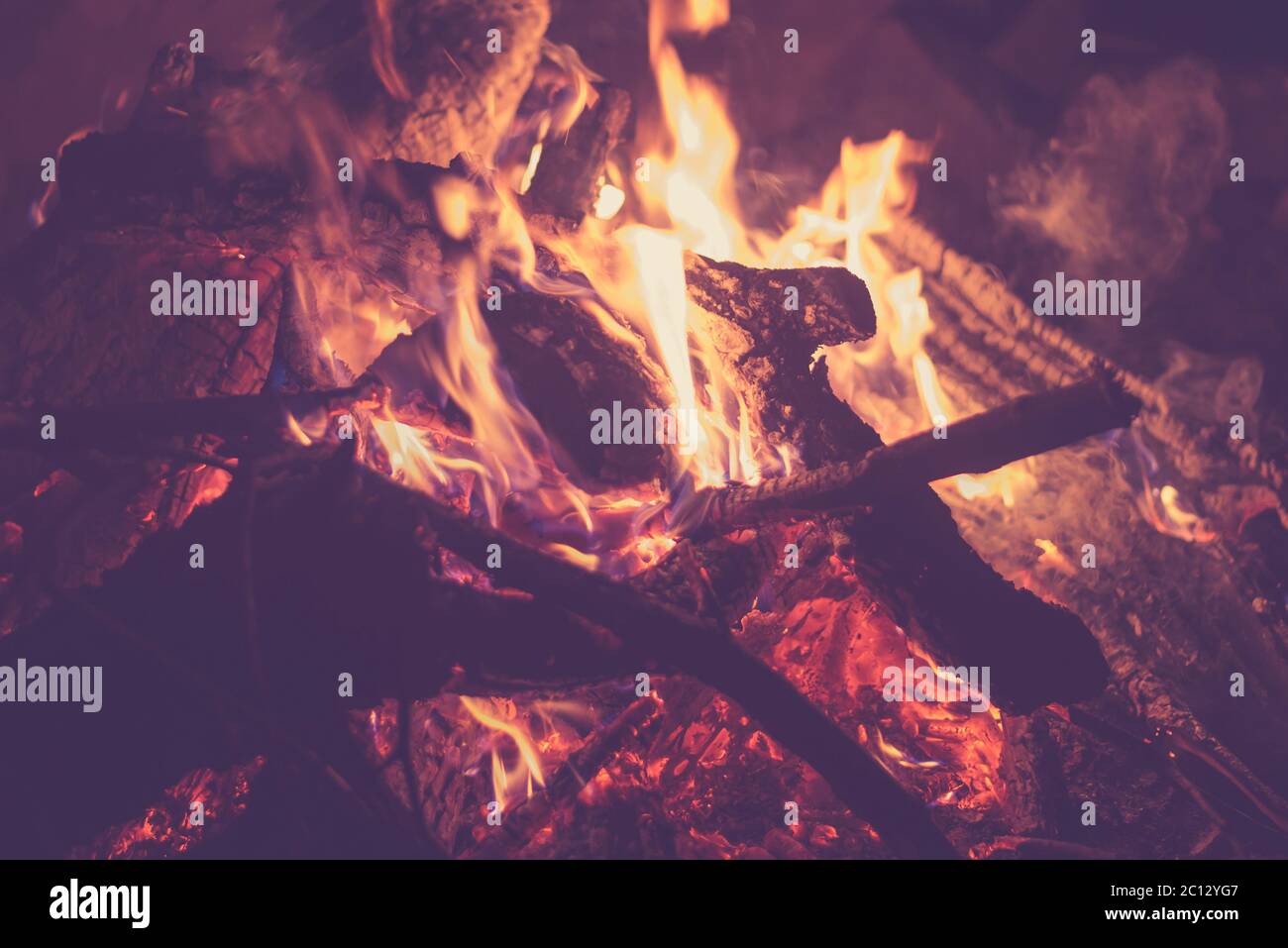 Brightly burning branches of trees in the fire at night, close-up ...
