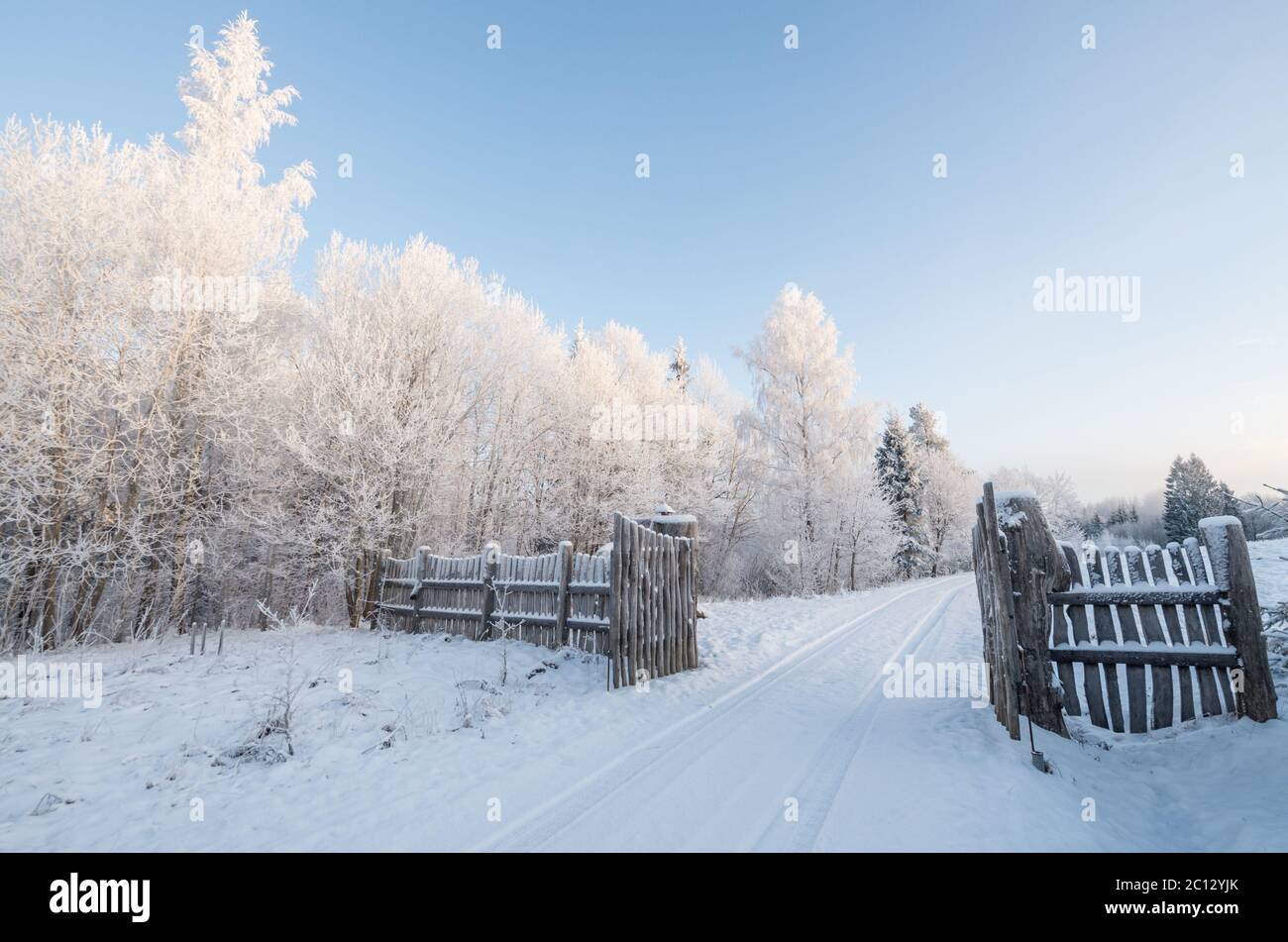 Open gate in a forest hi-res stock photography and images - Alamy