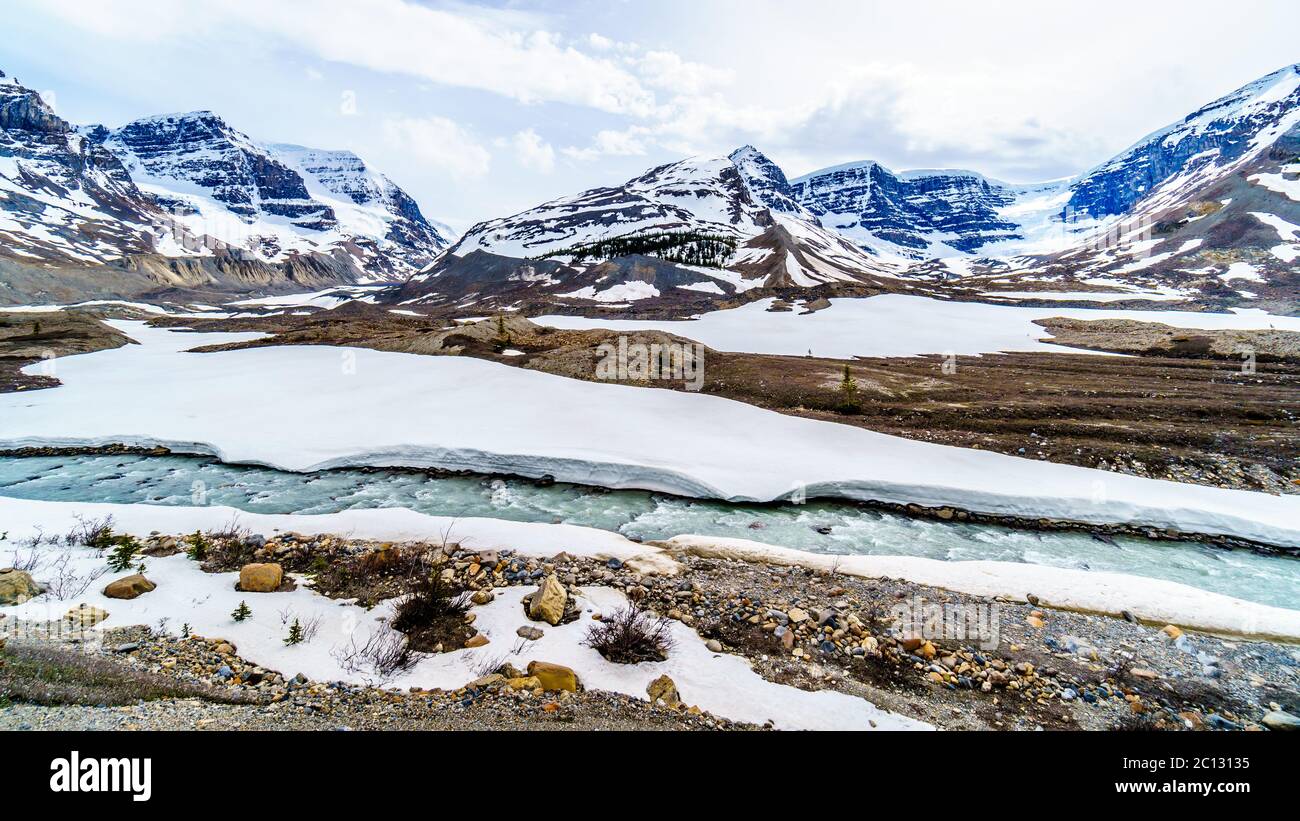 Glacial water from the Athabasca Glacier and Dome Glacier in the ...