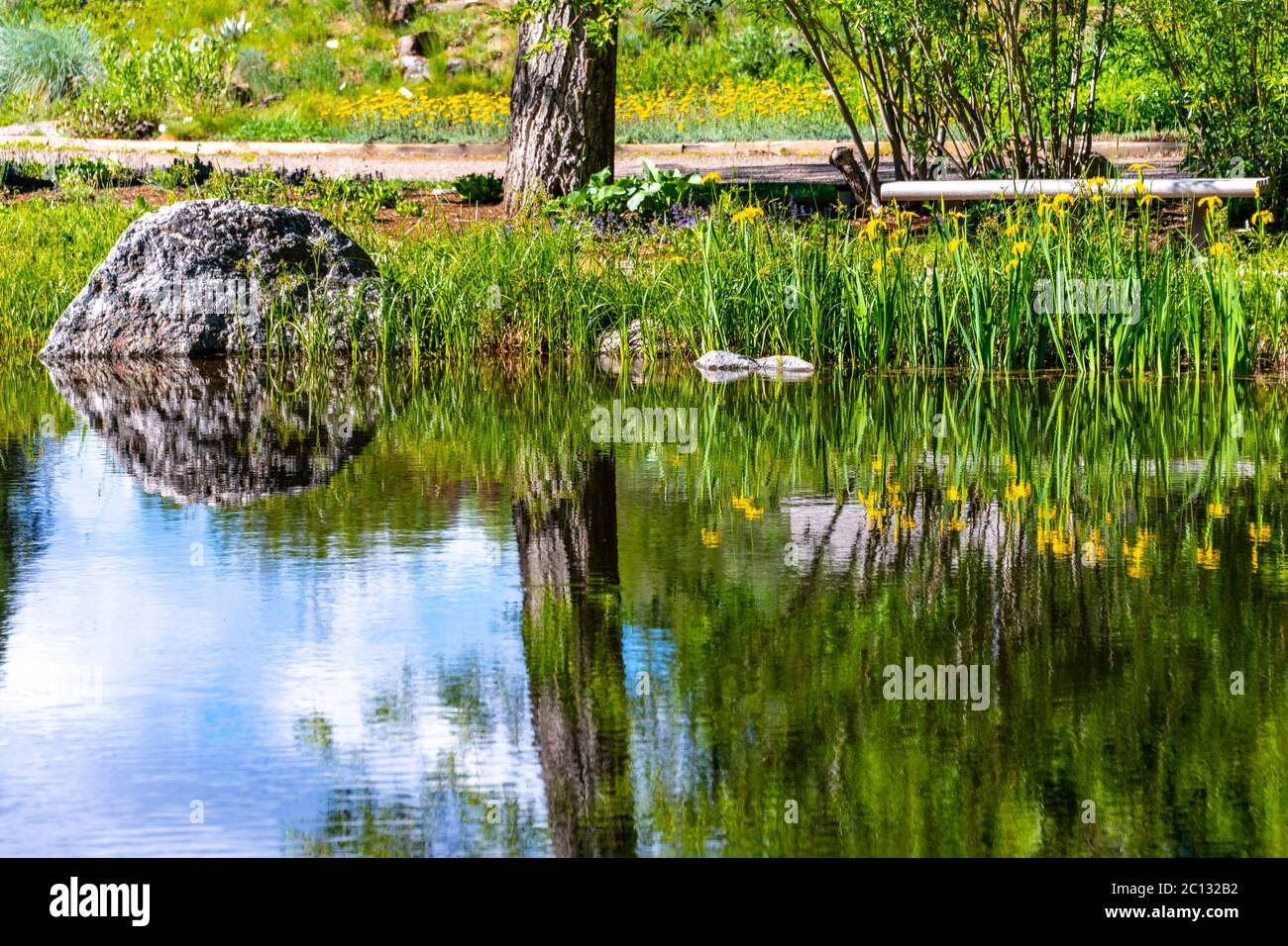 Tranquil scene forest reflections hi-res stock photography and images ...