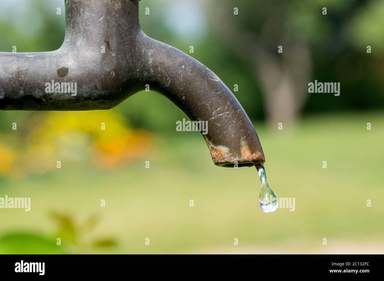 A old rusty water tap in garden Stock Photo - Alamy