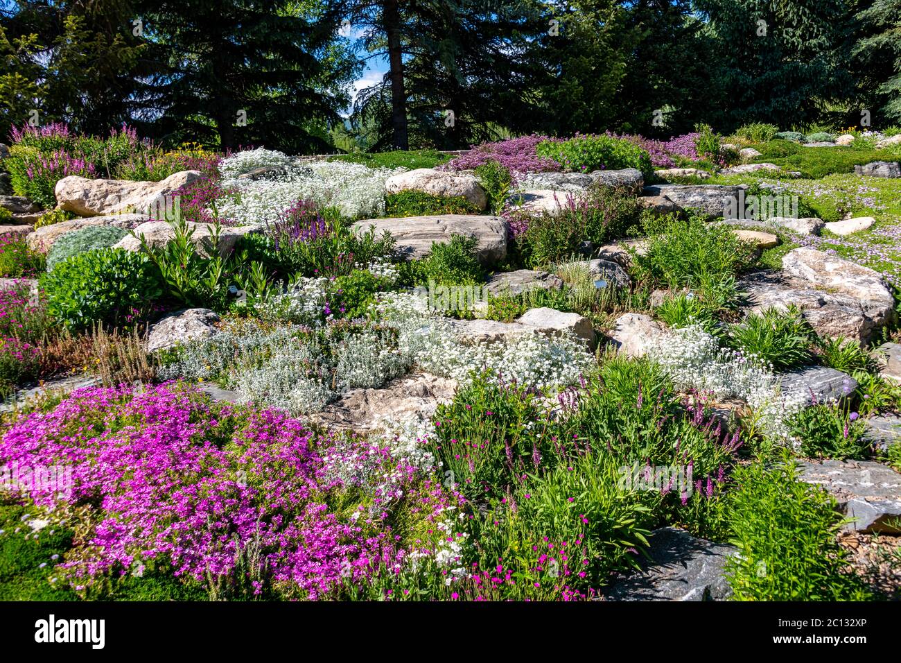 The rock garden in botanical garden hi-res stock photography and images ...