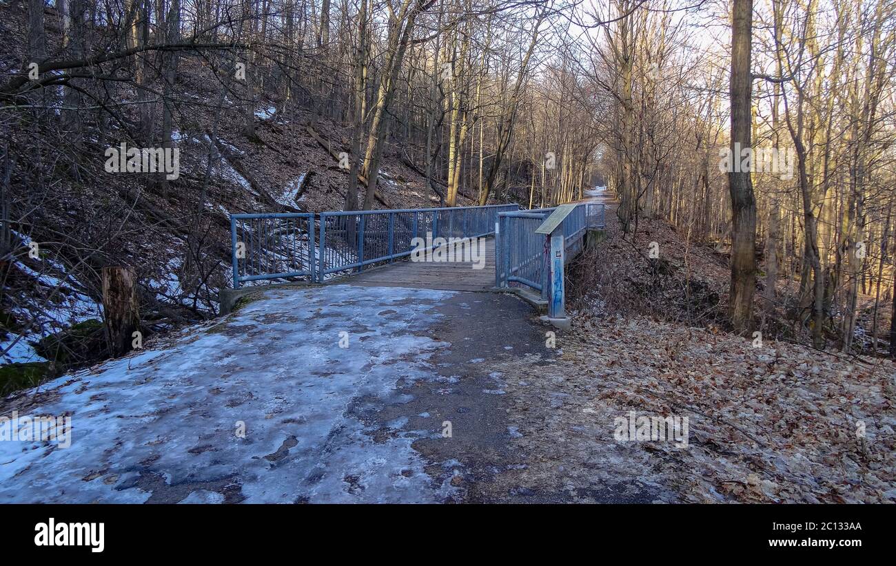 Waterfalls in the Canadian city of Hamilton, Ontario. Incredible forest ...