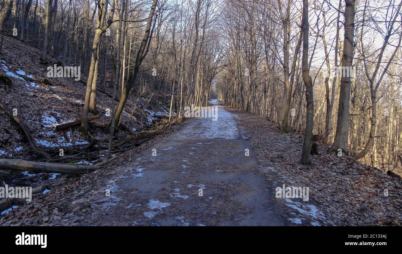 Waterfalls in the Canadian city of Hamilton, Ontario. Incredible forest ...