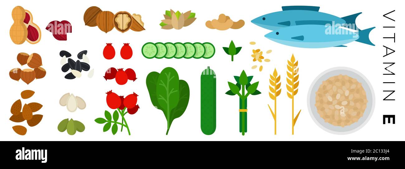 Nucleic Acid Examples Food