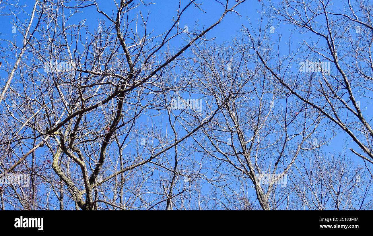 Albion Falls Hamilton High Resolution Stock Photography and Images - Alamy