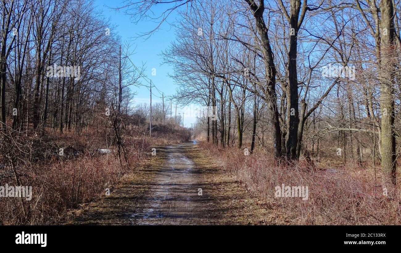 Waterfalls in the Canadian city of Hamilton, Ontario. Incredible forest ...
