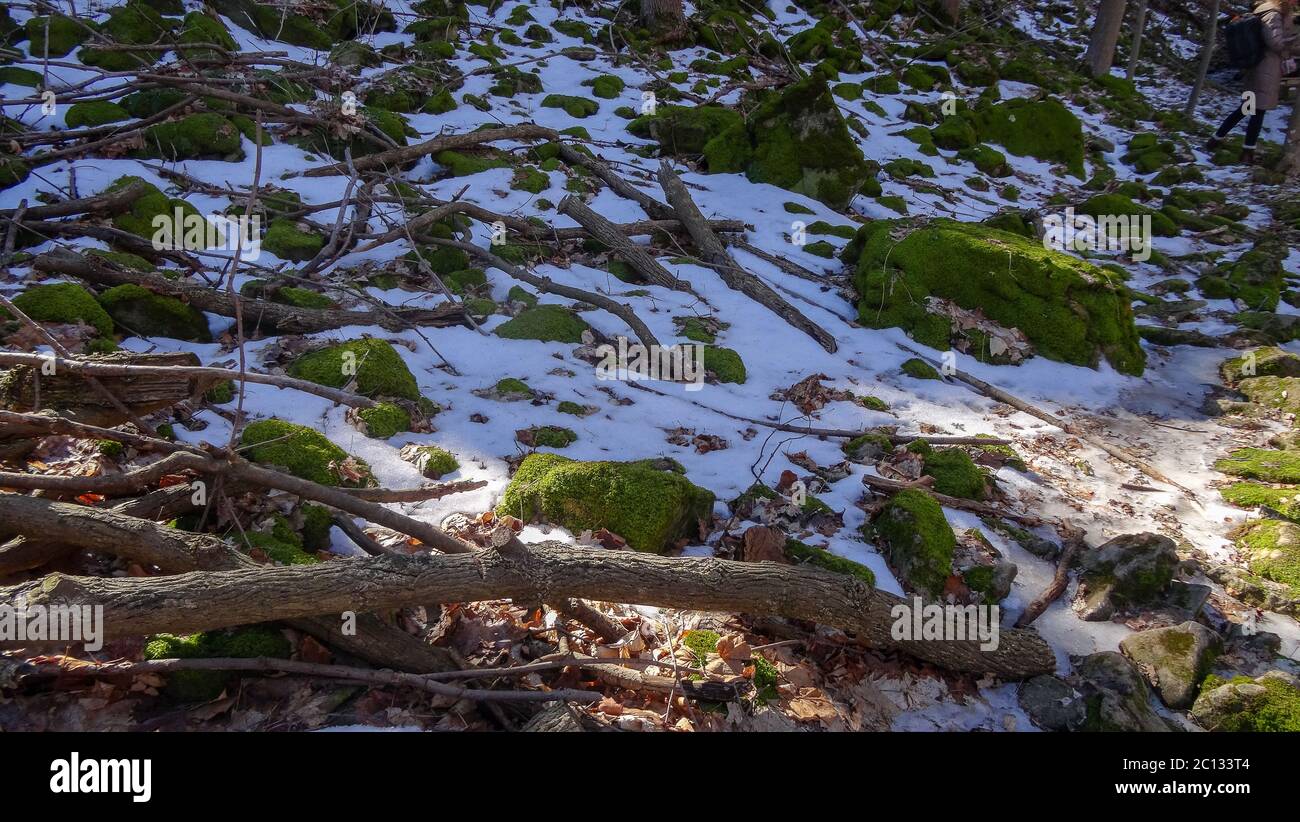 Waterfalls in the Canadian city of Hamilton, Ontario. Incredible forest ...