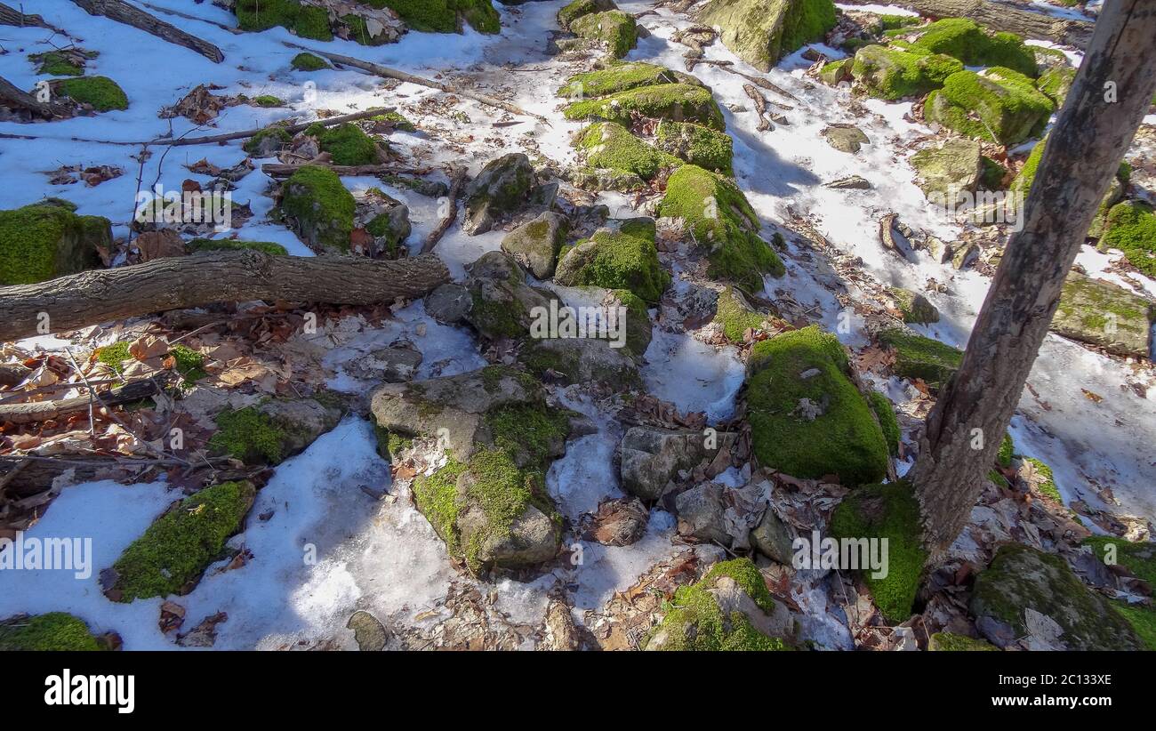 Waterfalls in the Canadian city of Hamilton, Ontario. Incredible forest ...
