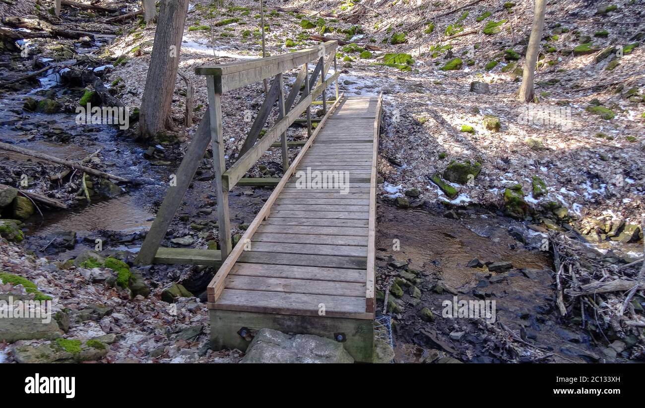 Waterfalls in the Canadian city of Hamilton, Ontario. Incredible forest ...