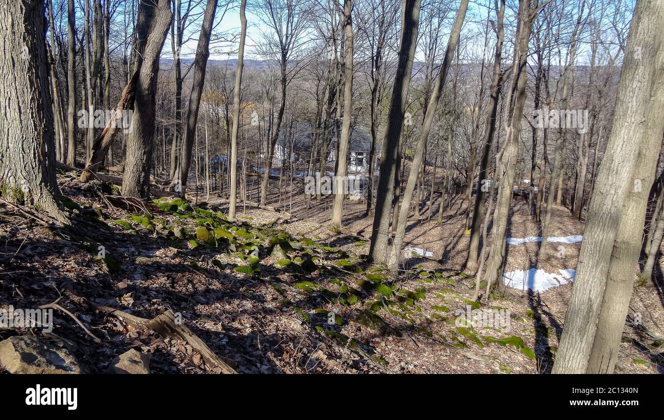 Waterfalls in the Canadian city of Hamilton, Ontario. Incredible forest ...