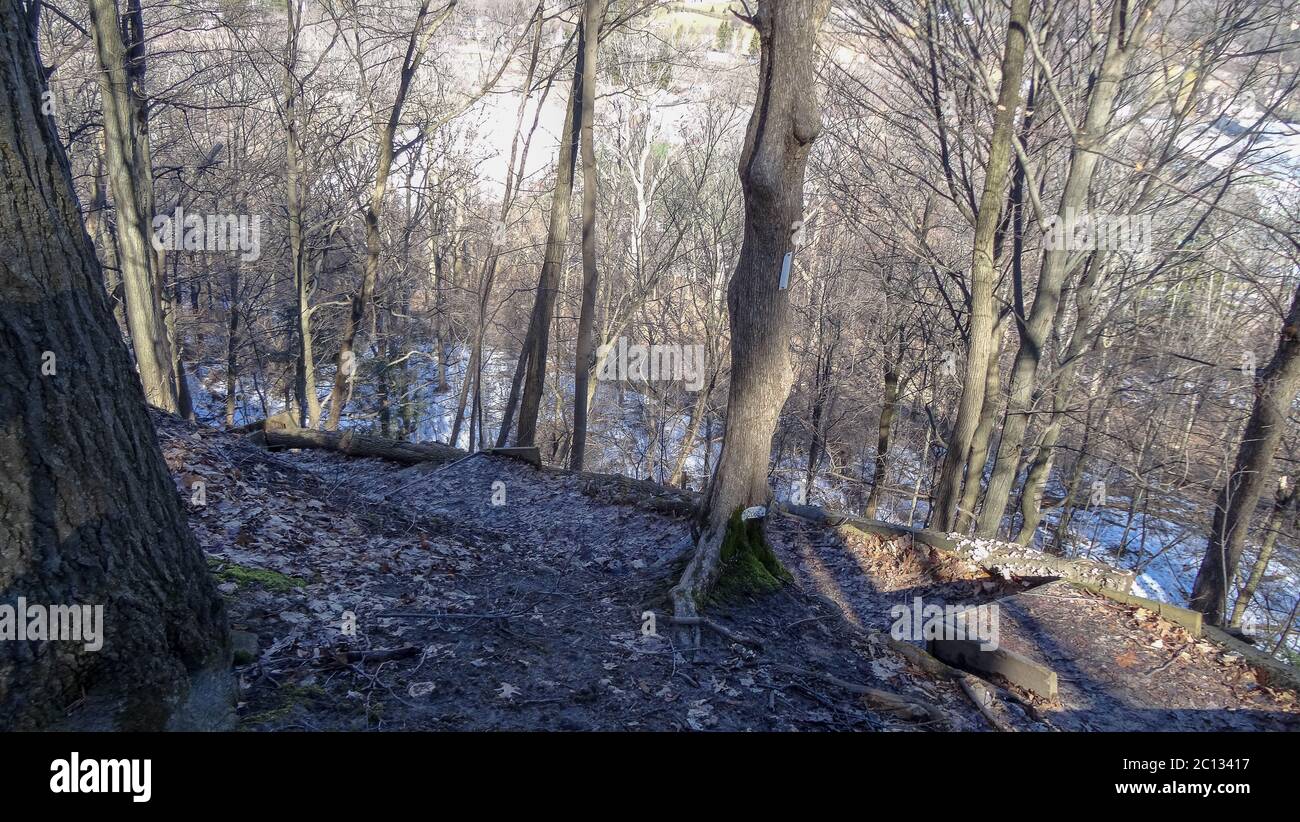 Waterfalls in the Canadian city of Hamilton, Ontario. Incredible forest ...