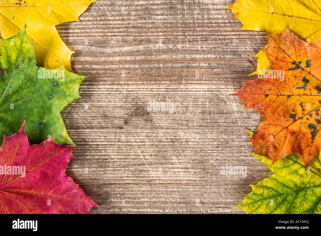 Autumn leaves frame Stock Photo - Alamy