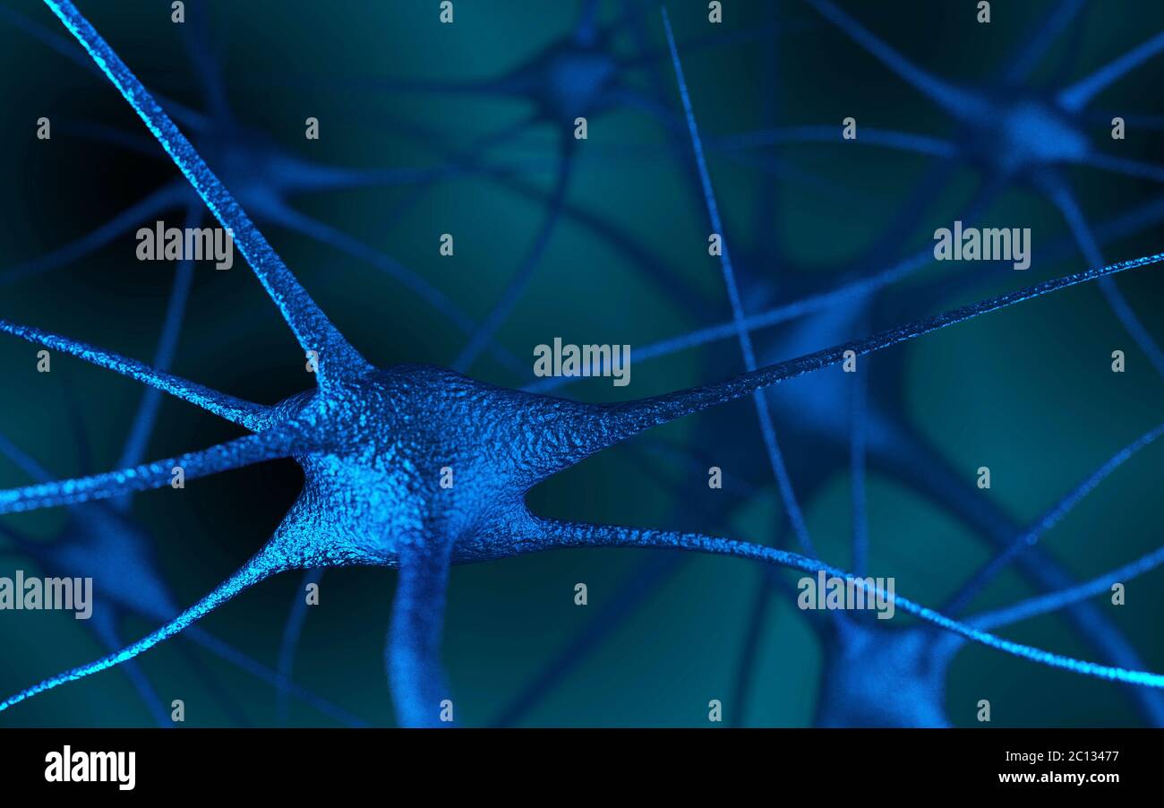 Neural brain anatomy neuron hi-res stock photography and images - Alamy