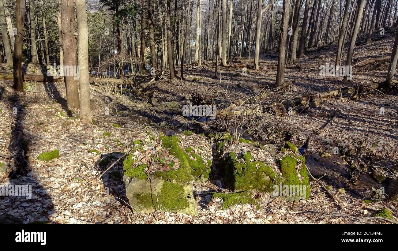 Waterfalls in the Canadian city of Hamilton, Ontario. Incredible forest ...