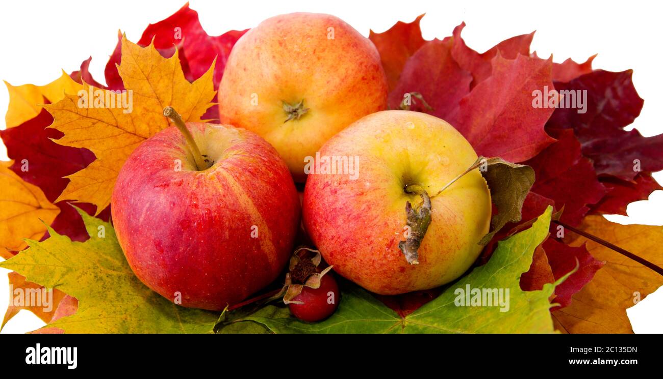 Apples and autumn leaves hi-res stock photography and images - Alamy