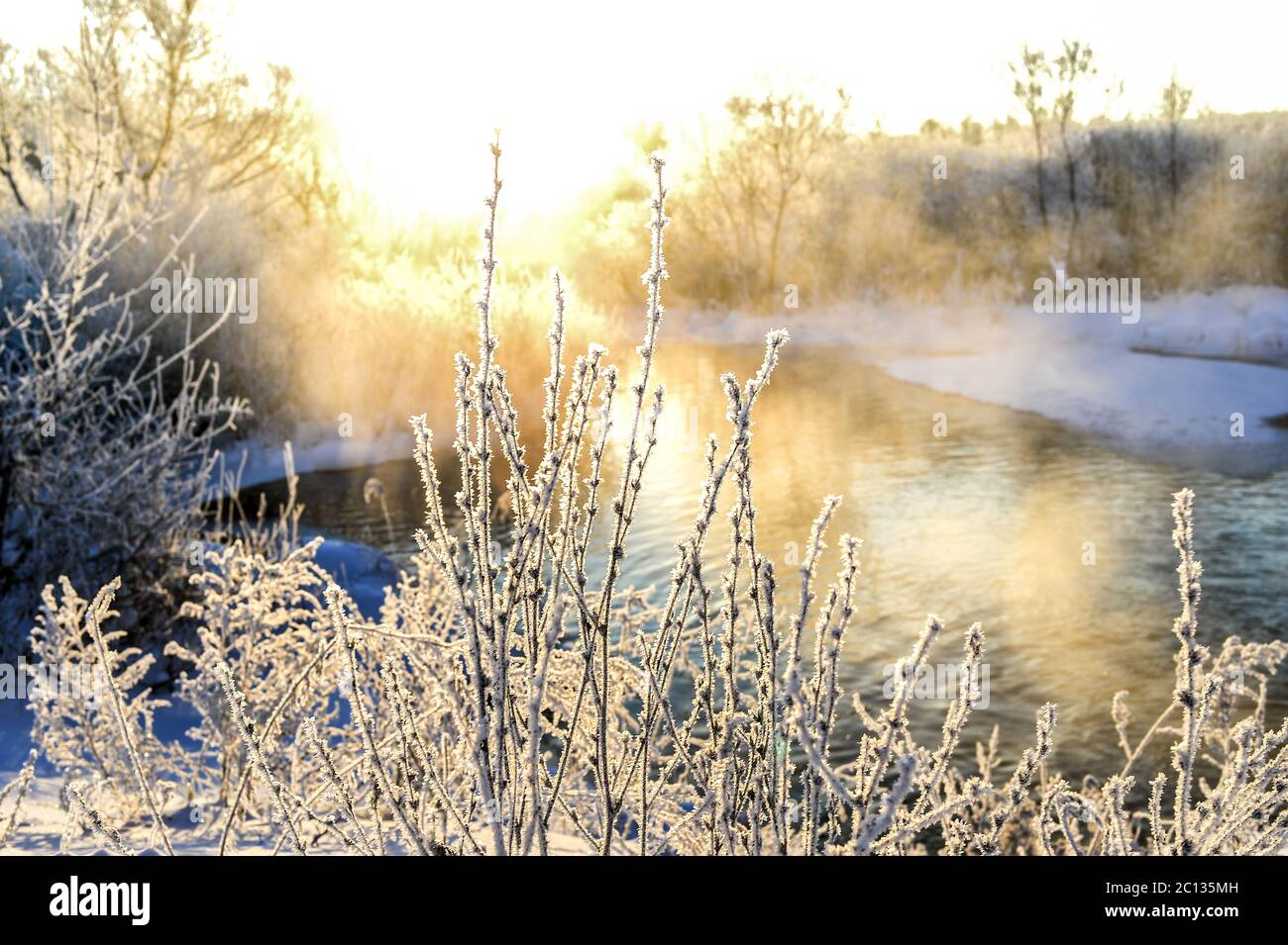 Winter sunny landscape with river and forest Stock Photo - Alamy