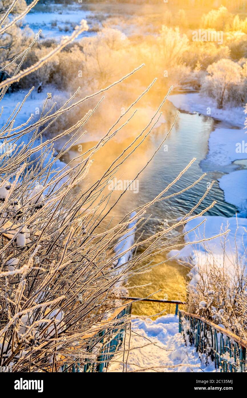 Winter sunny landscape with river and forest Stock Photo - Alamy