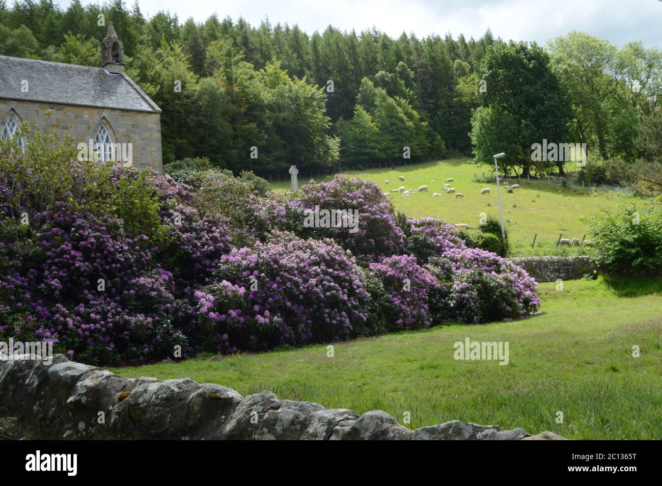Kemback Parish Church, built 1814 in Gothic style Stock Photo - Alamy