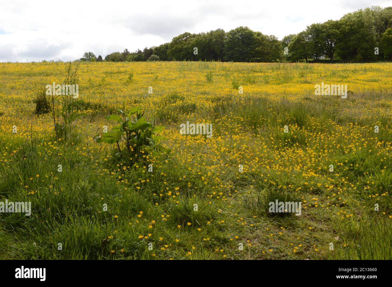 Kemback hi-res stock photography and images - Alamy