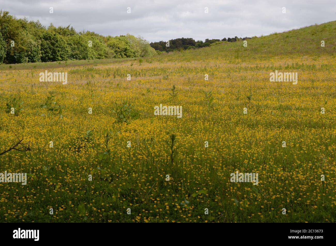 Kemback hi-res stock photography and images - Alamy