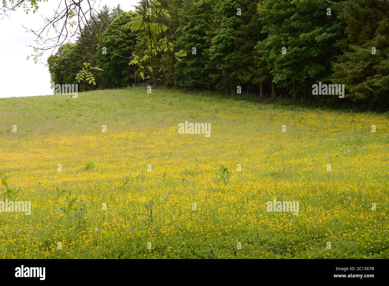 Kemback hi-res stock photography and images - Alamy