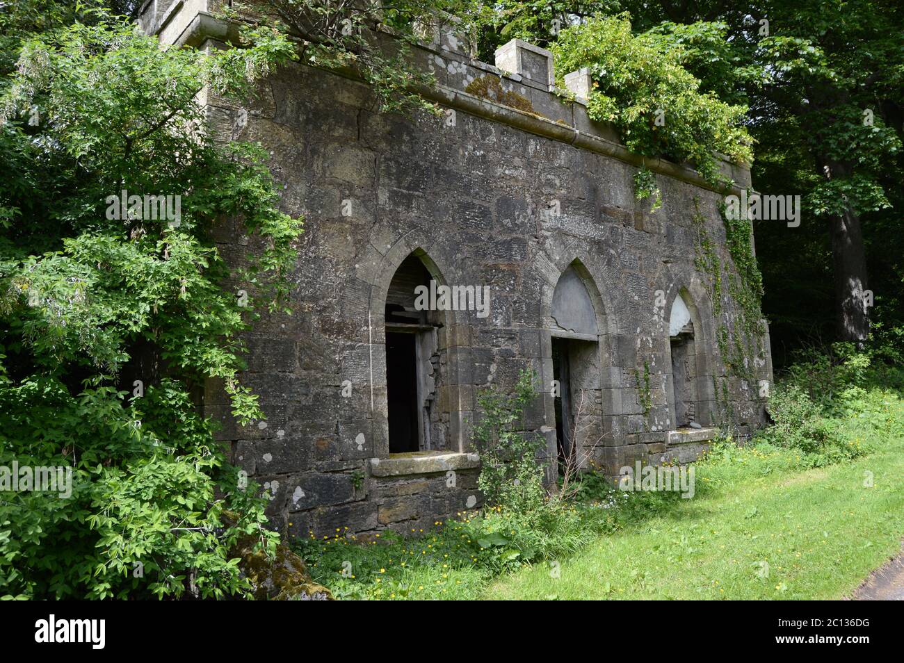 Trevor stone hi-res stock photography and images - Alamy