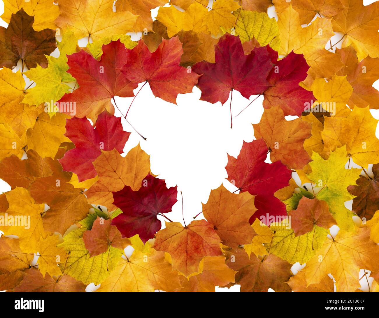 Three Heart Shaped Leaves High Resolution Stock Photography and Images ...