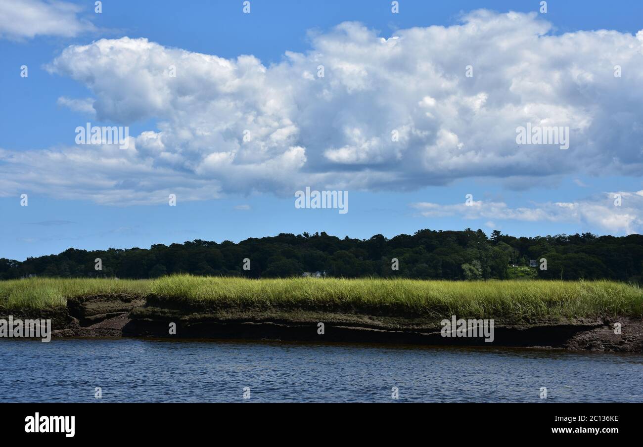 Tidal marsh with marsh grass and mud flats Stock Photo - Alamy