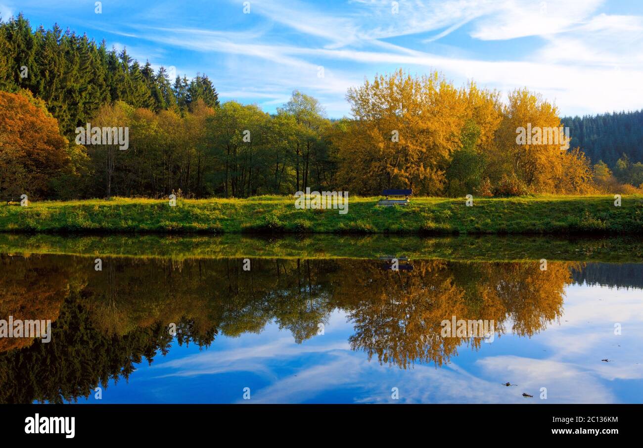 Trees on the coast hi-res stock photography and images - Alamy