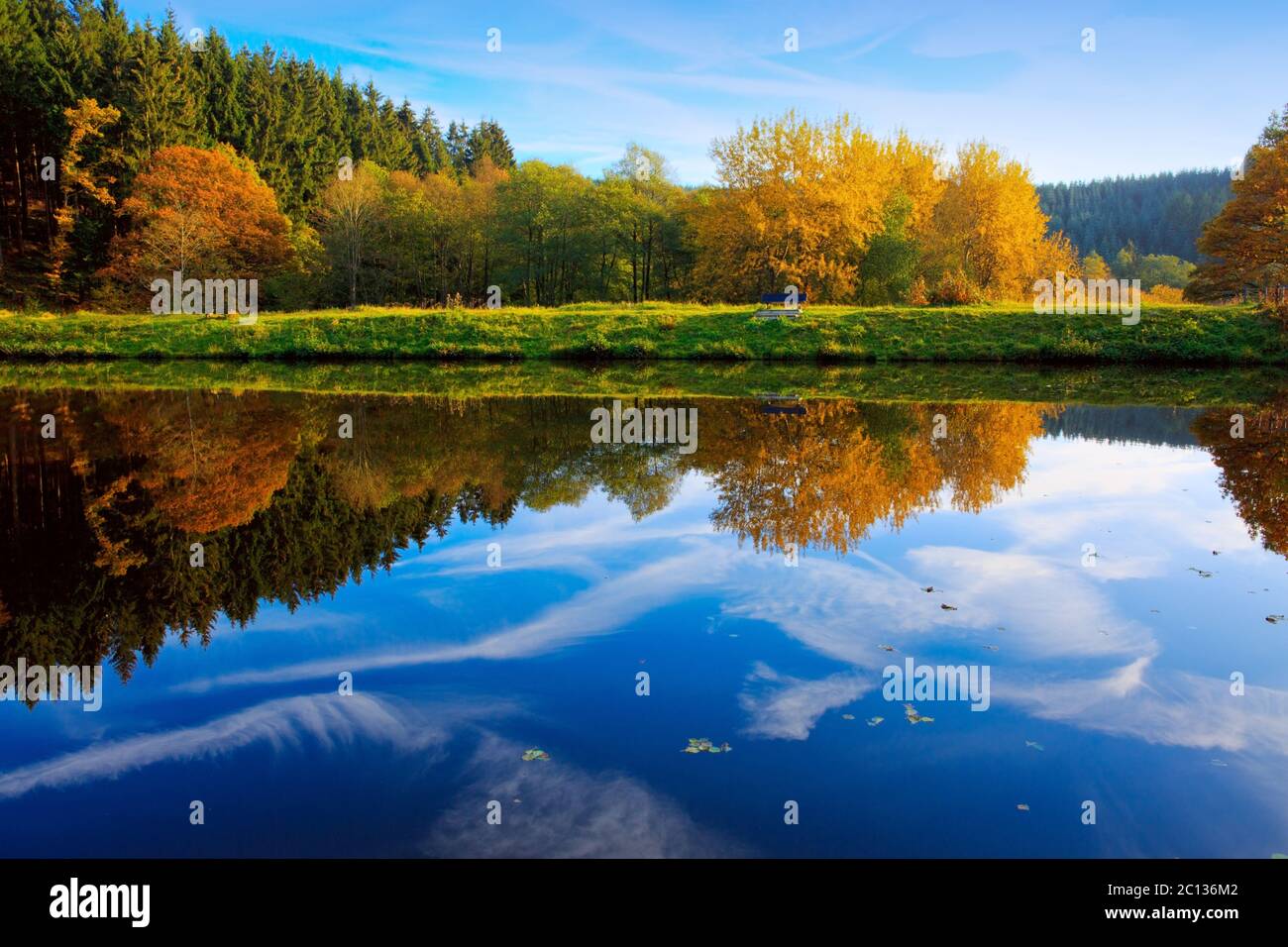 Trees on the coast hi-res stock photography and images - Alamy