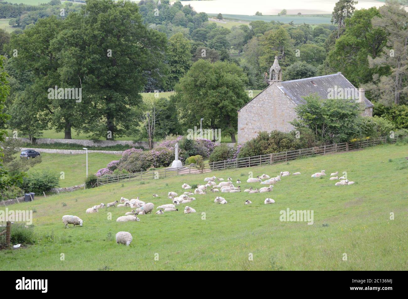 Kemback Parish Church, built 1814 in Gothic style Stock Photo - Alamy