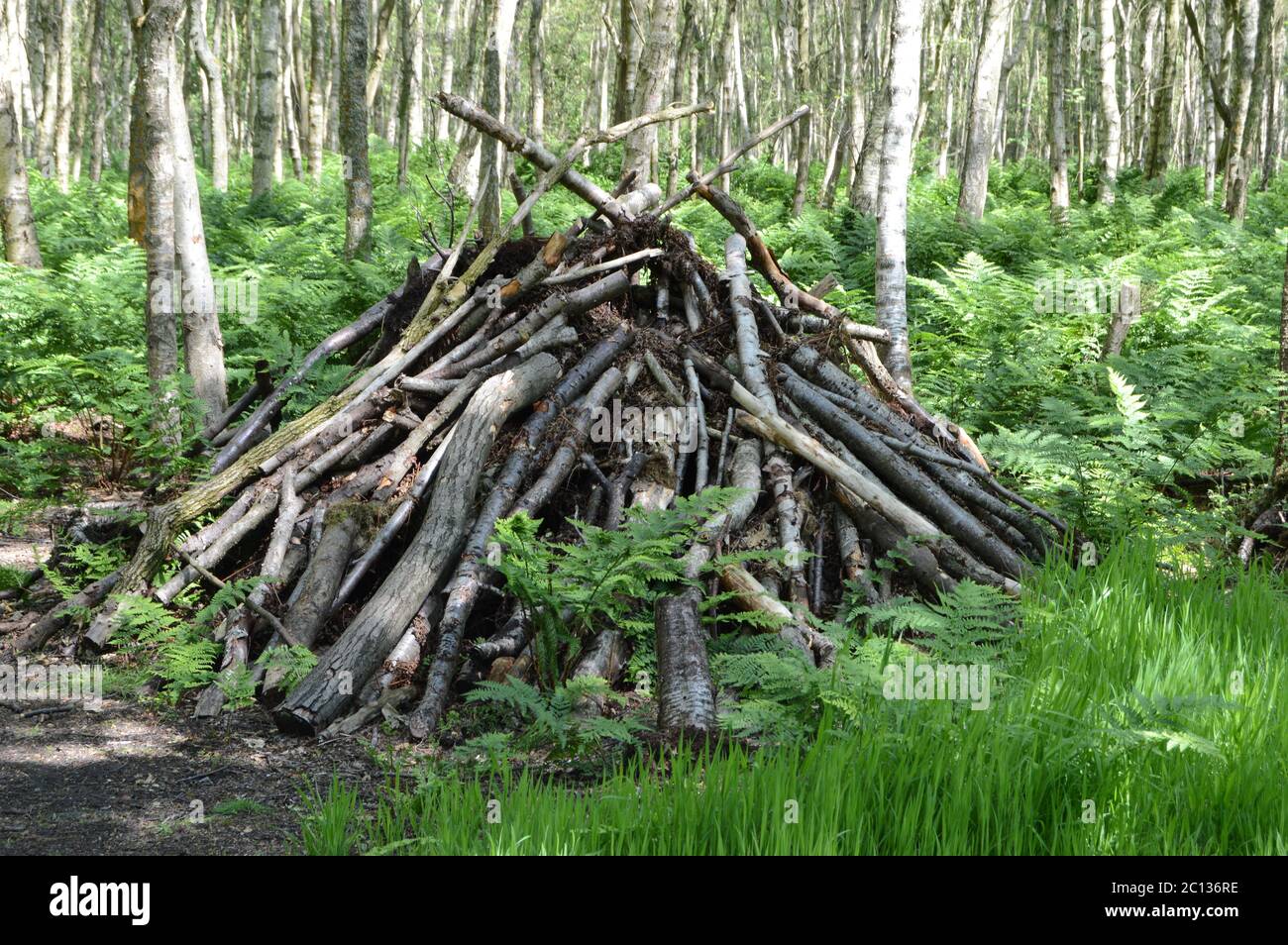 Magus muir hi-res stock photography and images - Alamy