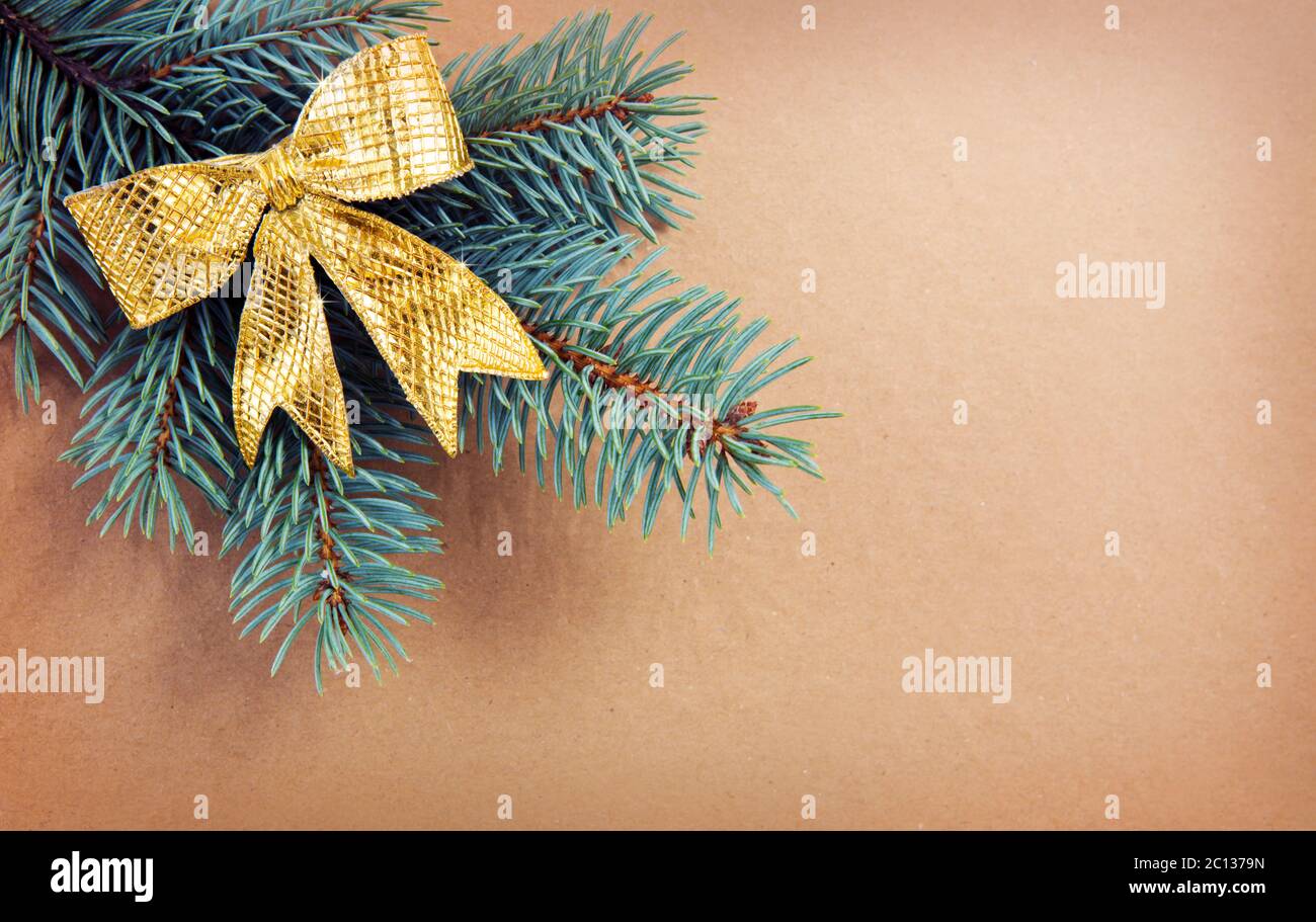 Gold loop on green spruce branch isolated Stock Photo - Alamy