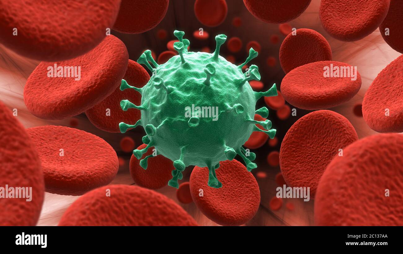 Blood cells and virus infect Stock Photo - Alamy