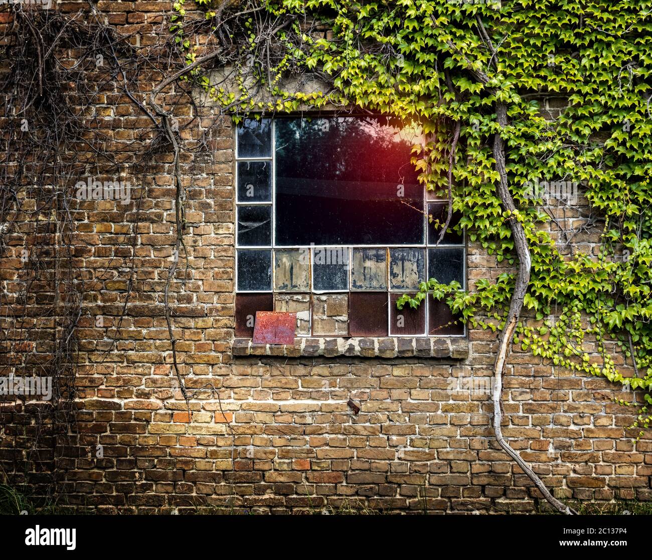 Factory window hi-res stock photography and images - Alamy