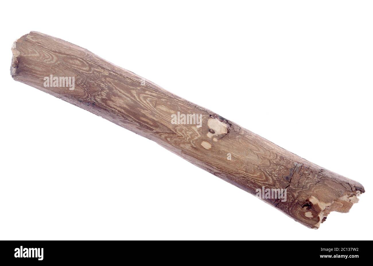 Dry twig hi-res stock photography and images - Alamy