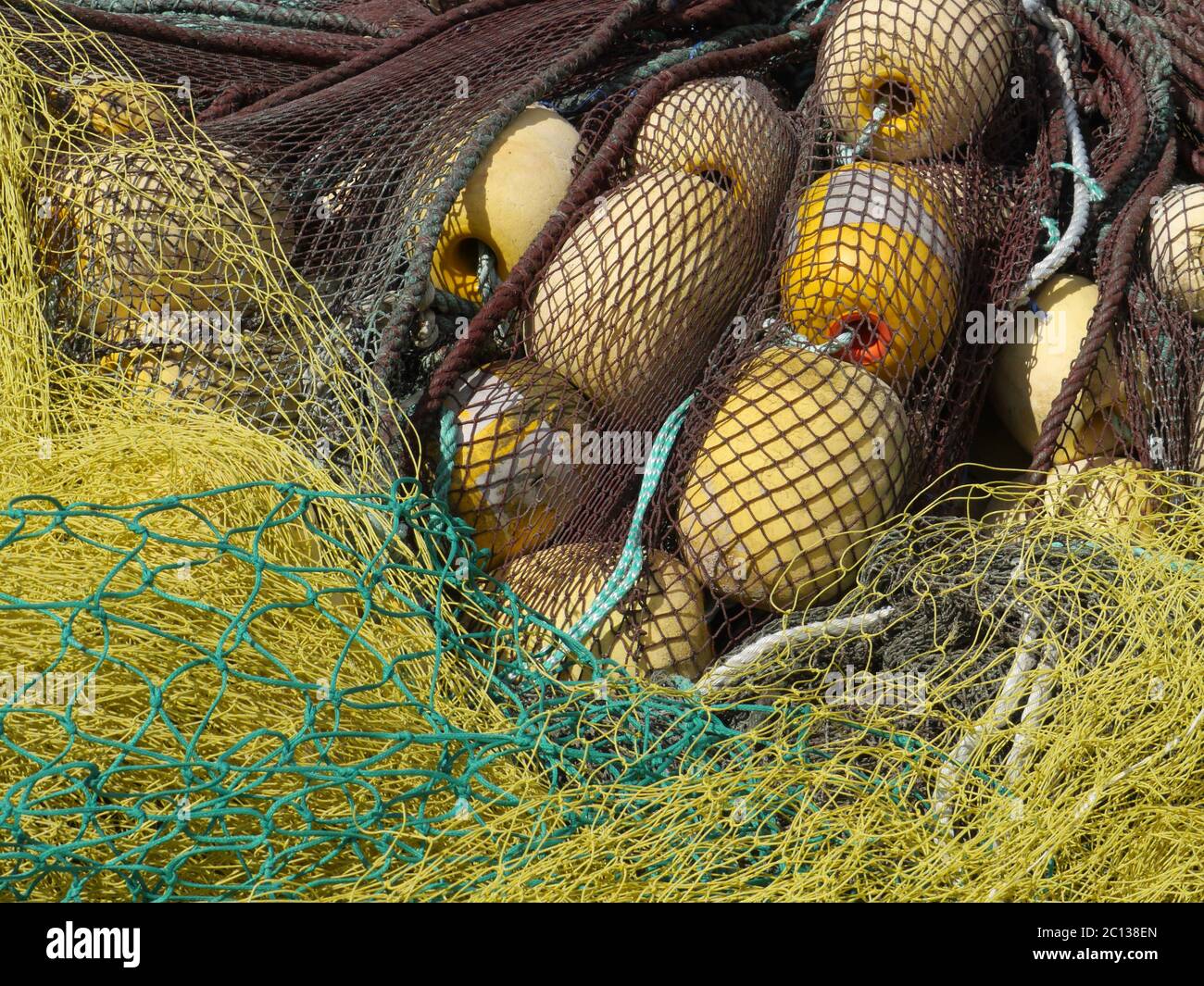 Fish with net hi-res stock photography and images - Alamy