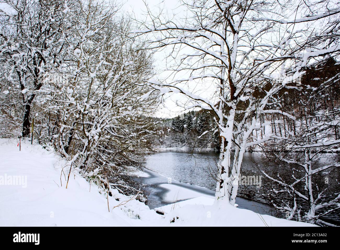 Winter trees on snow hi-res stock photography and images - Alamy