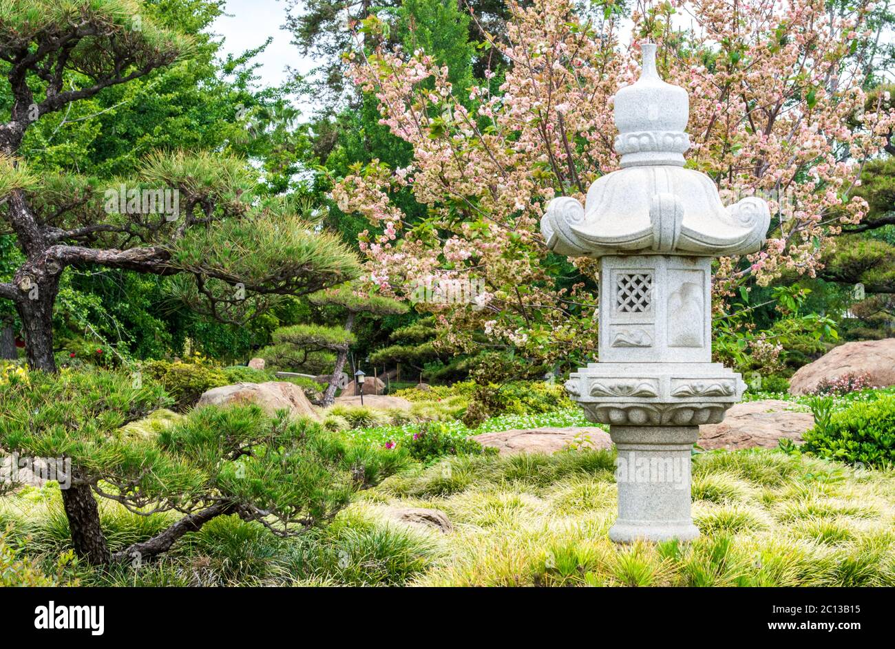 a beautiful stone tachi-gata lantern amid lush greenery and cherry ...