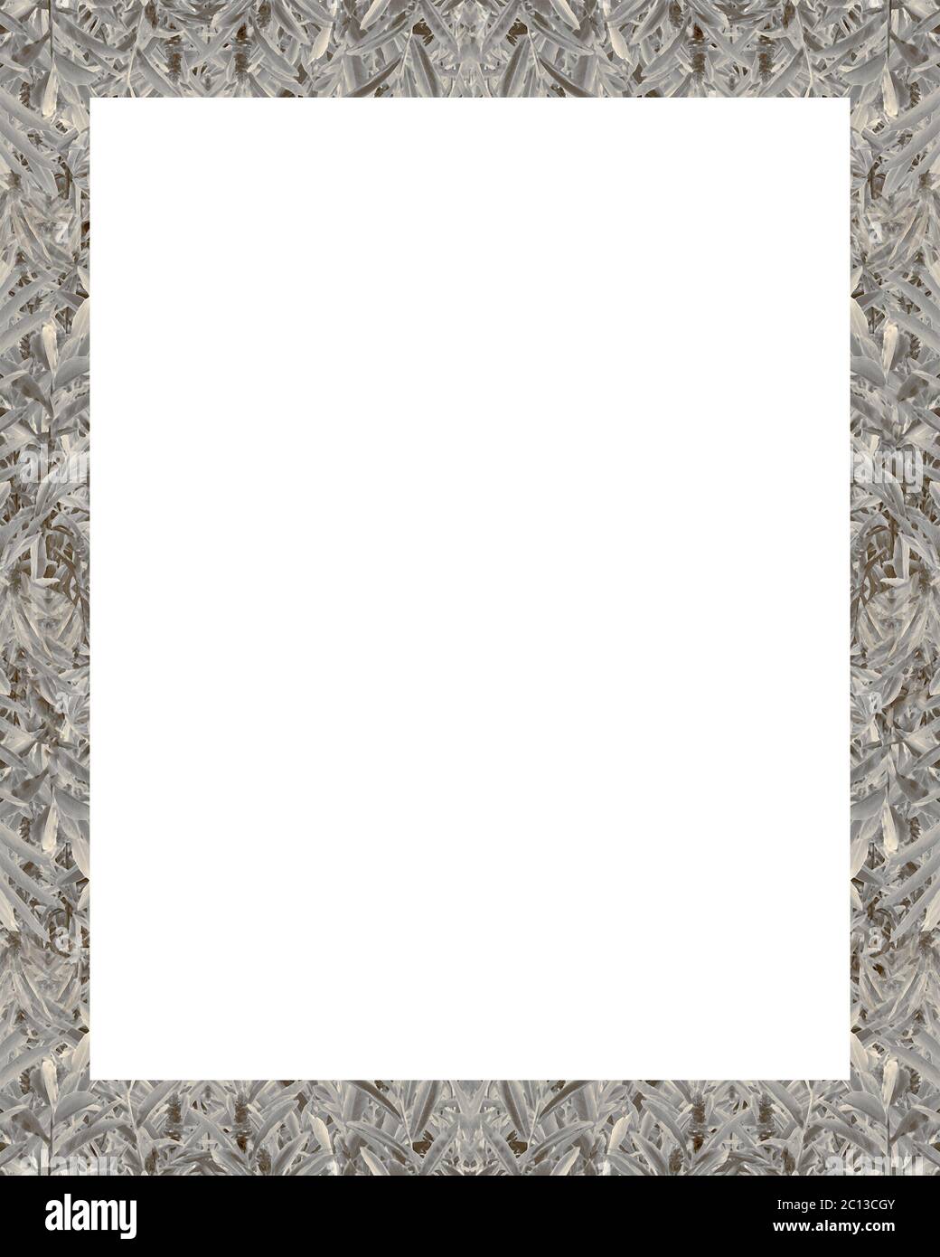 White Frame with Decorated Borders Stock Photo - Alamy