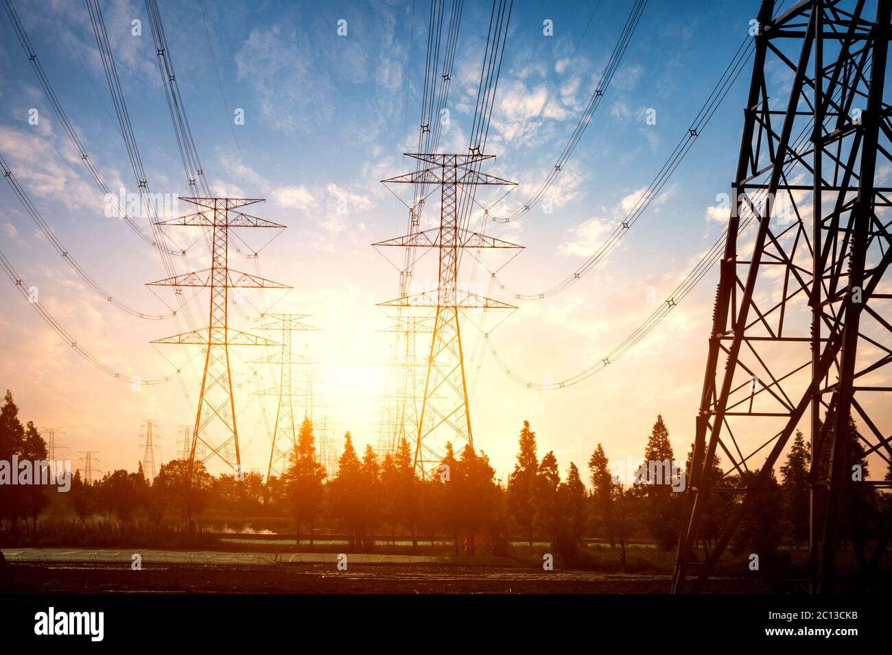 power pylons in field Stock Photo - Alamy