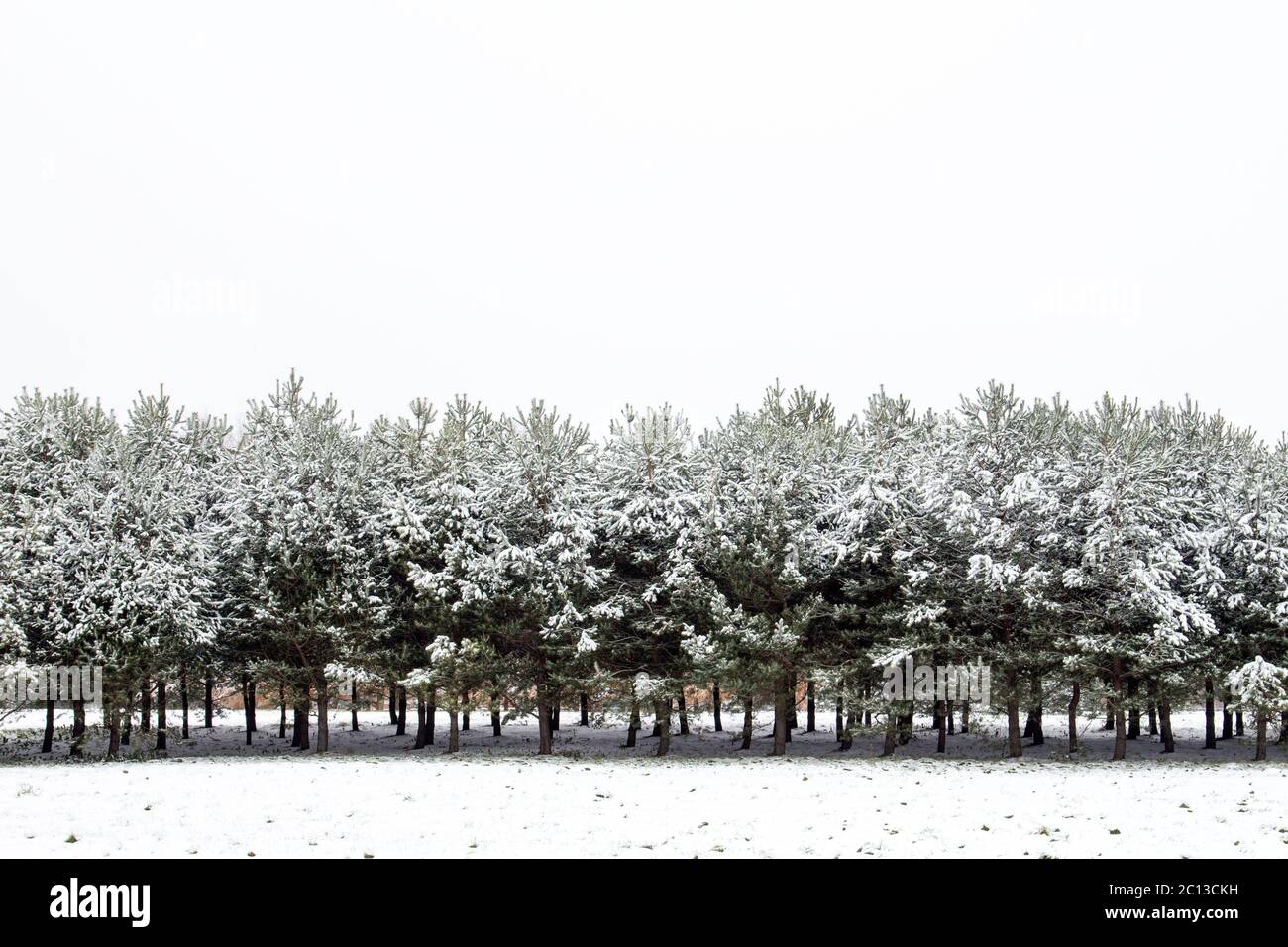 Winter season landscape Stock Photo - Alamy