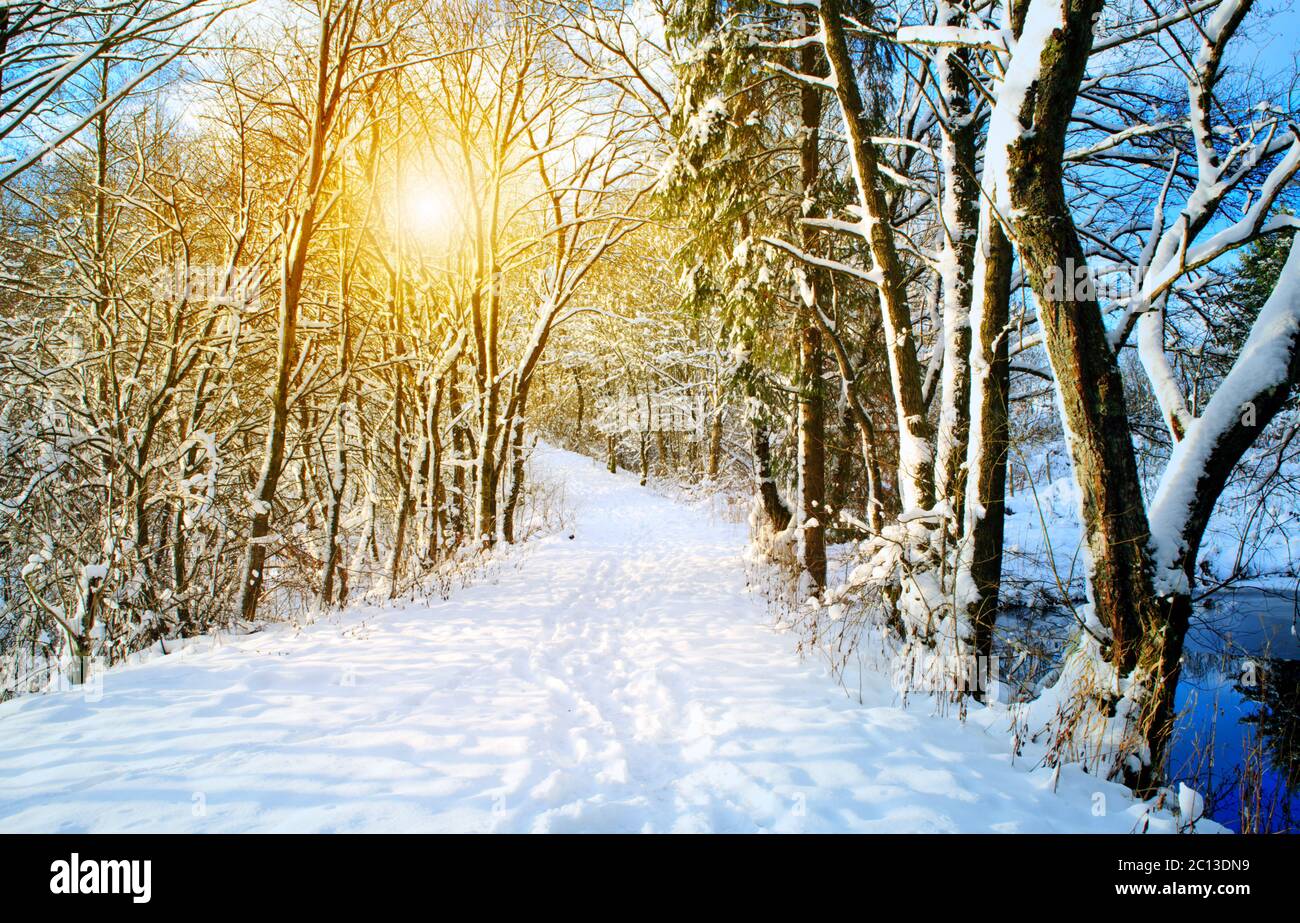 Snow sunset trees hi-res stock photography and images - Alamy