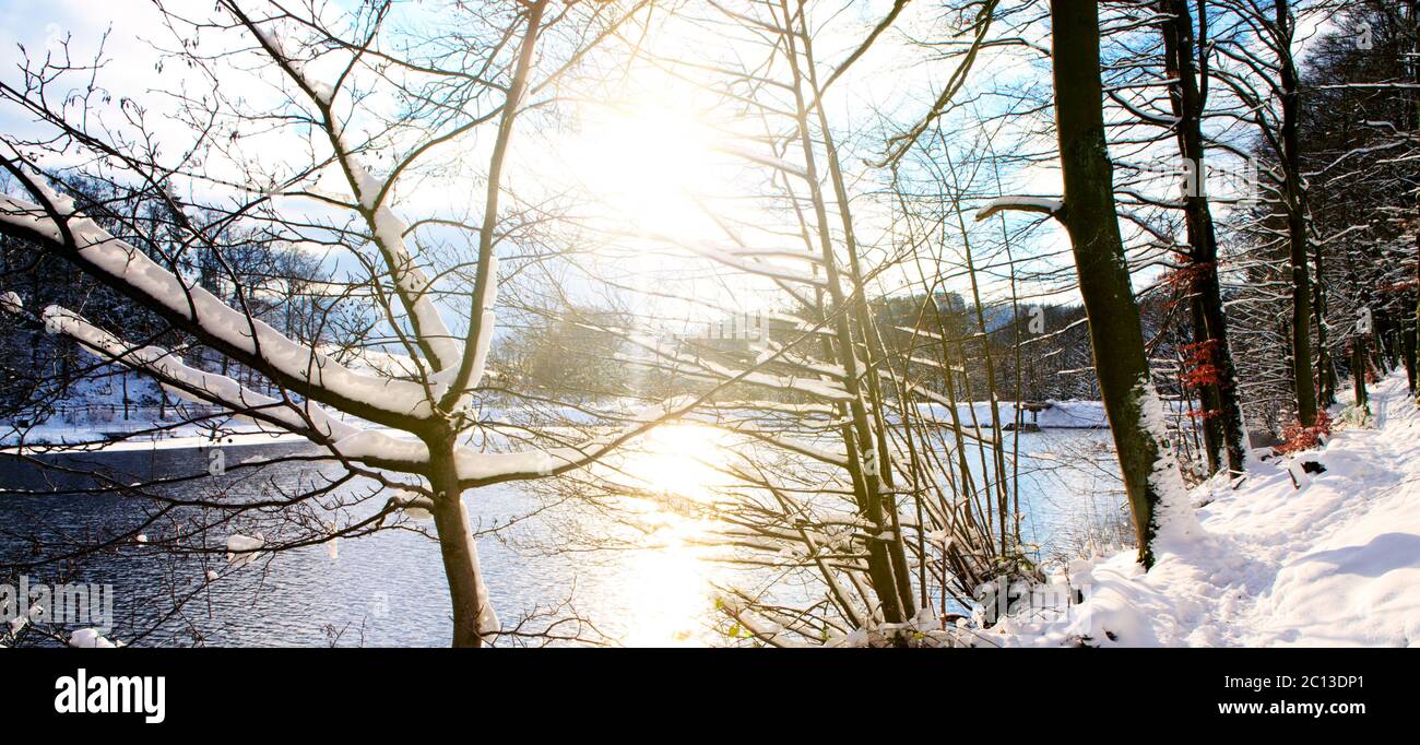 Winter landscape with sunshine, trees and forest lake Stock Photo - Alamy