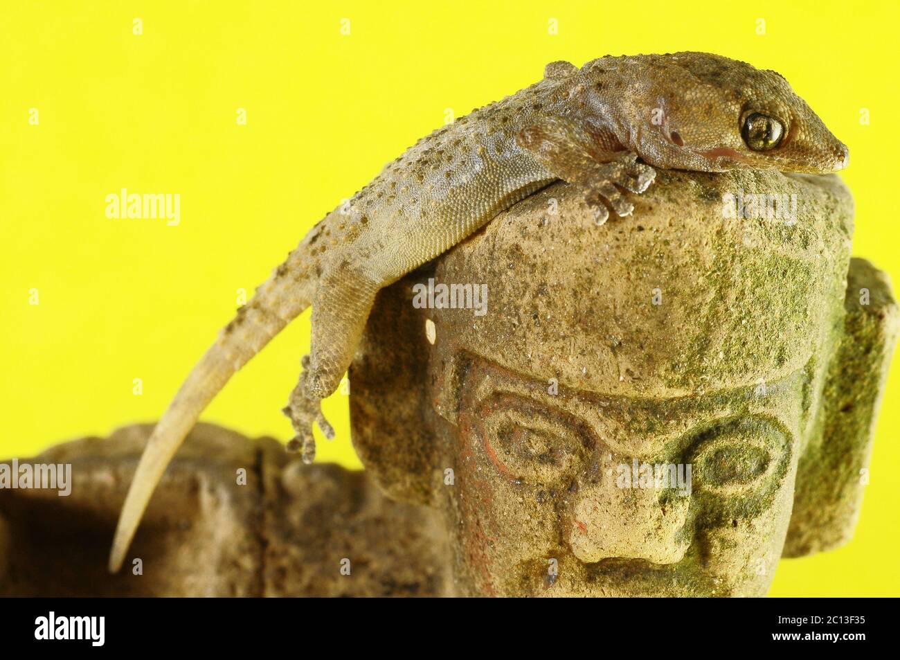 Mayan statue hi-res stock photography and images - Alamy