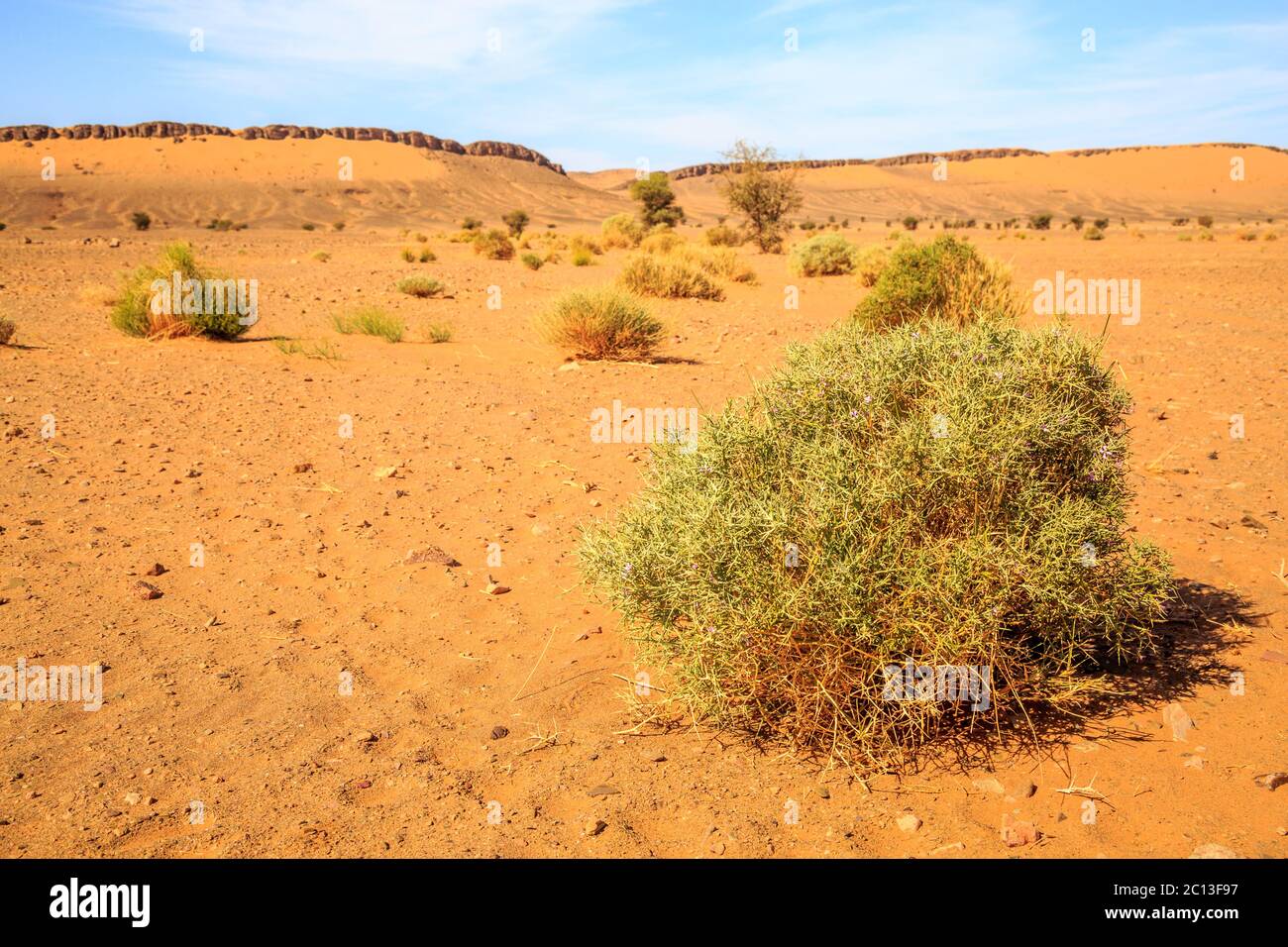 Beautiful Moroccan Mountain landscape with acacia tree in foreground ...