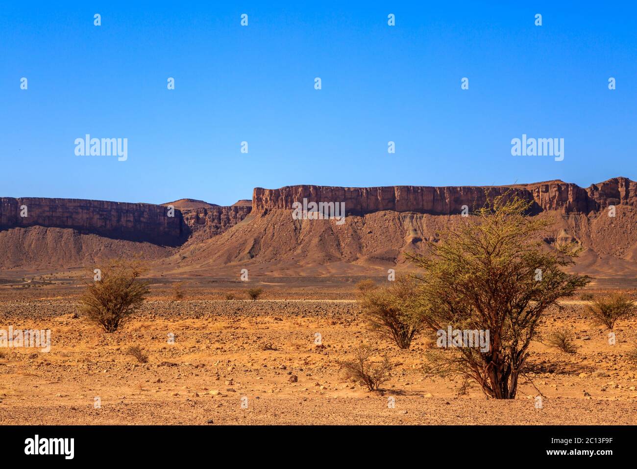 Beautiful Moroccan Mountain landscape with acacia tree in foreground ...