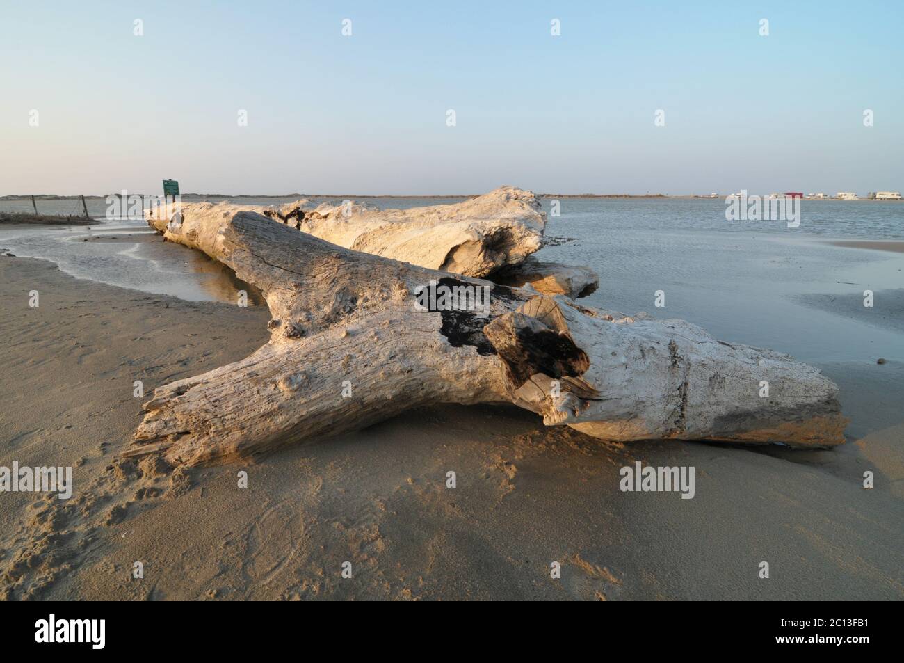 Beach wood hi-res stock photography and images - Alamy